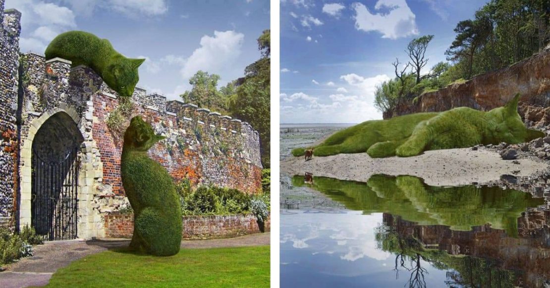 10+ Times Cats Had Us Grinning From Ear To Ear - Paws Planet