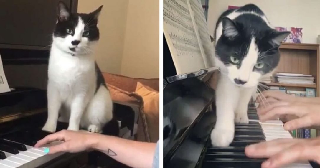 Fish Shaming: 23 Hilarious Fish That Deserved To Be Shamed For Being ...