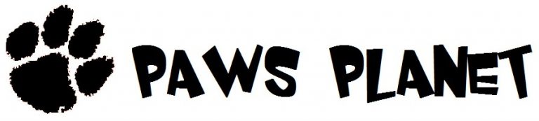 Home Paws - Paws Planet - World Animal News