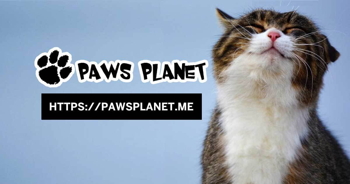 Home Paws - Paws Planet - World Animal News